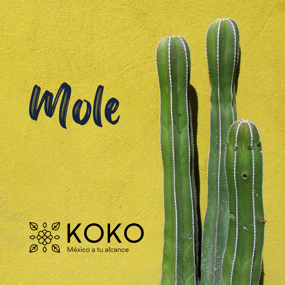 KOKO - México a tu alcance